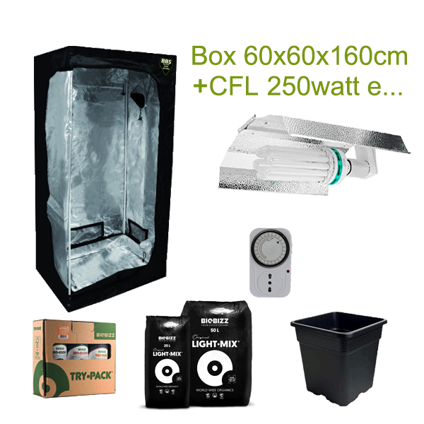 KIT 250W CFL+ BOX 60X60X160 Santaplanta Grow Shop