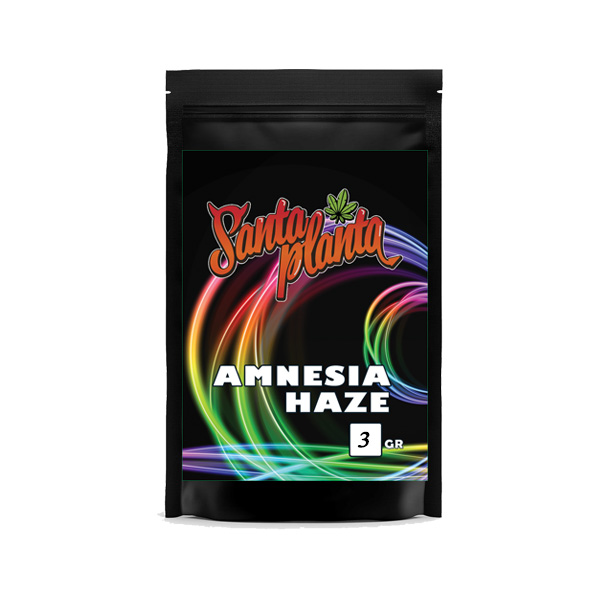 AMNESIA HAZE - 3gr Santa Planta Santaplanta Grow Shop